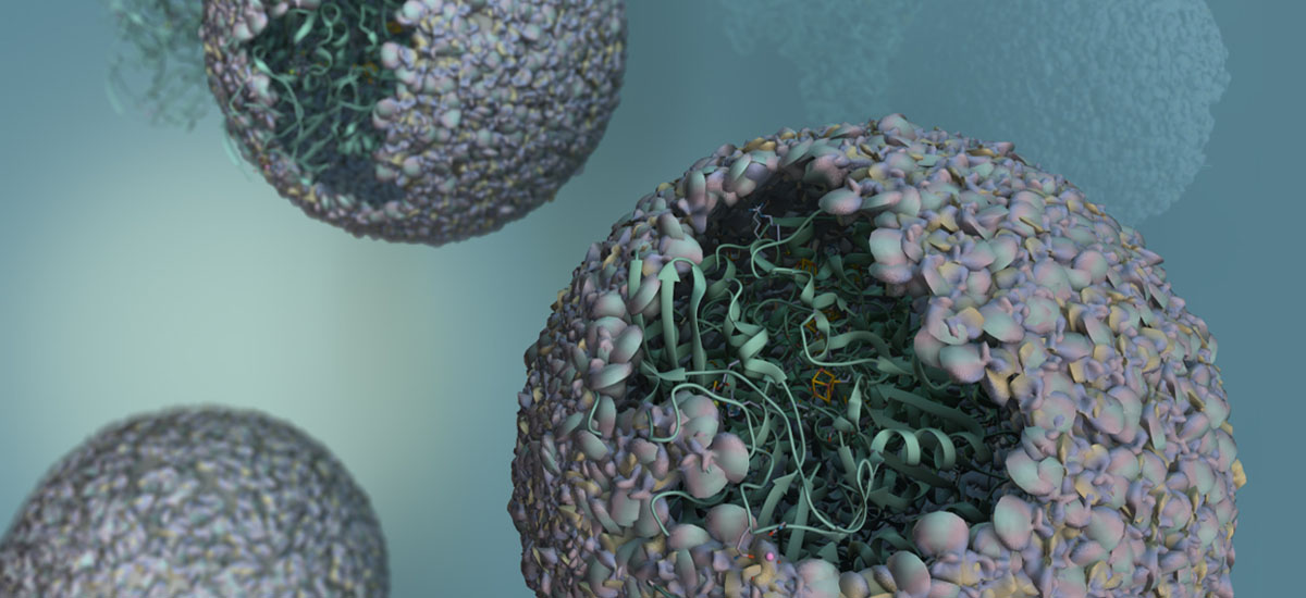 Nano reactor para la producción de biocombustible de hidrógeno - CCEEA